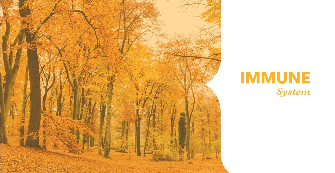 Article 1: The Pocket Guide to Seasonal Health – Nuzest NZ