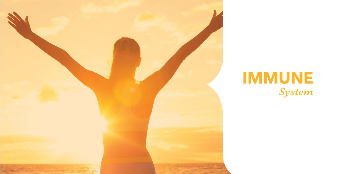 Article 2: 5 Simple Ways to Support your Immune System Throughout the ...